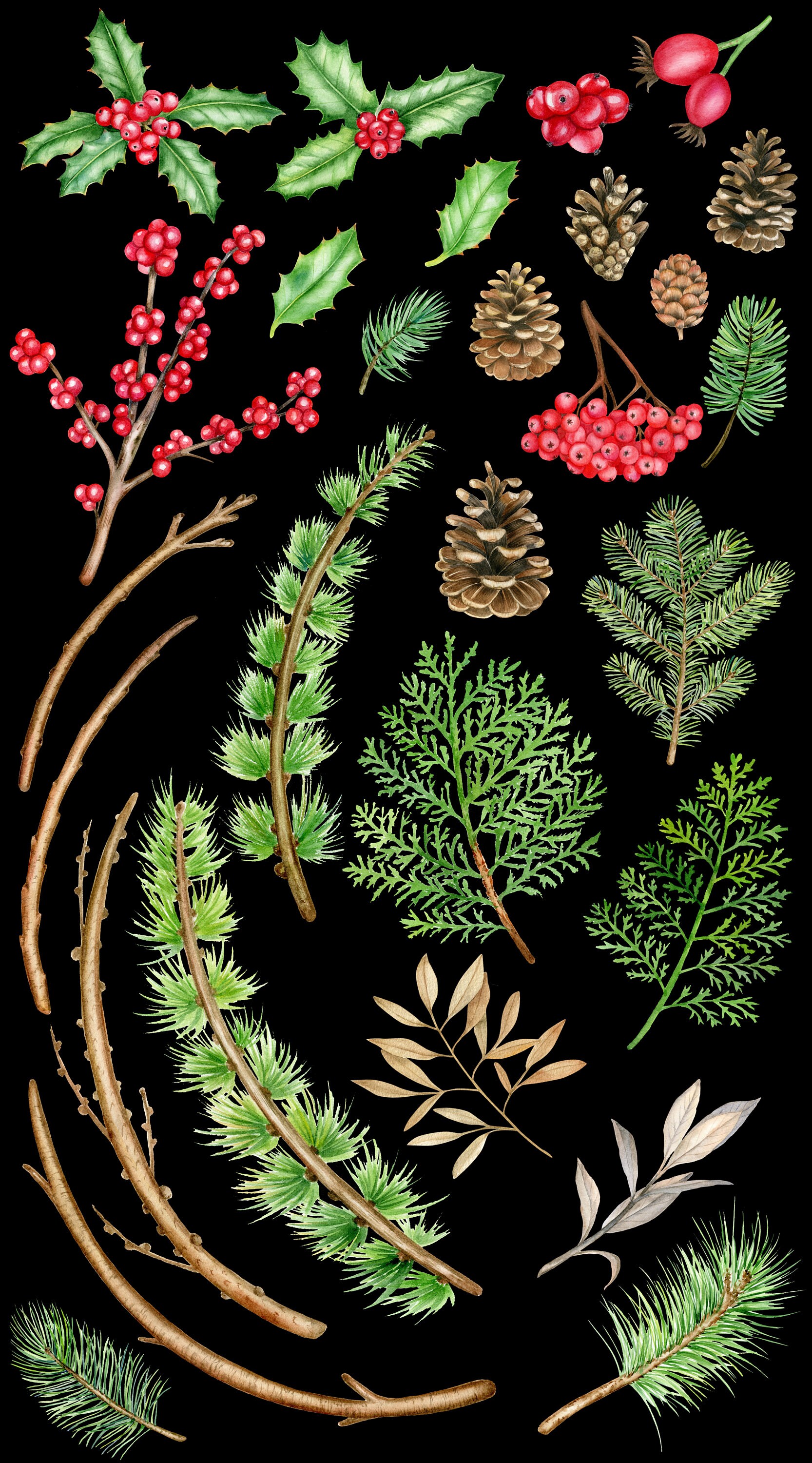 Christmas Watercolor Clipart. Winter Woodland Hand Painted Graphics ...