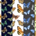 Watercolor Butterflies Digital Paper, Butterfly Pattern, Insects ...