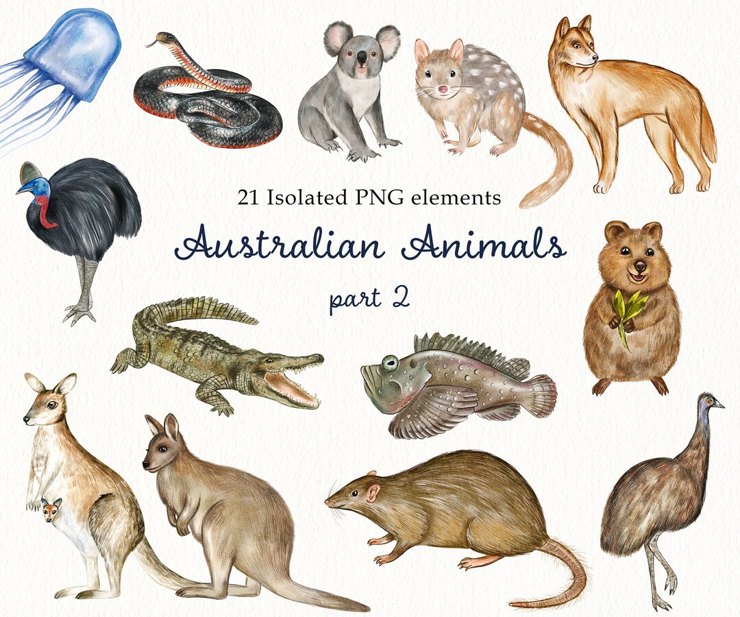 Watercolor Australian Animals Clipart Part 2. Hand Painted Animal Set ...