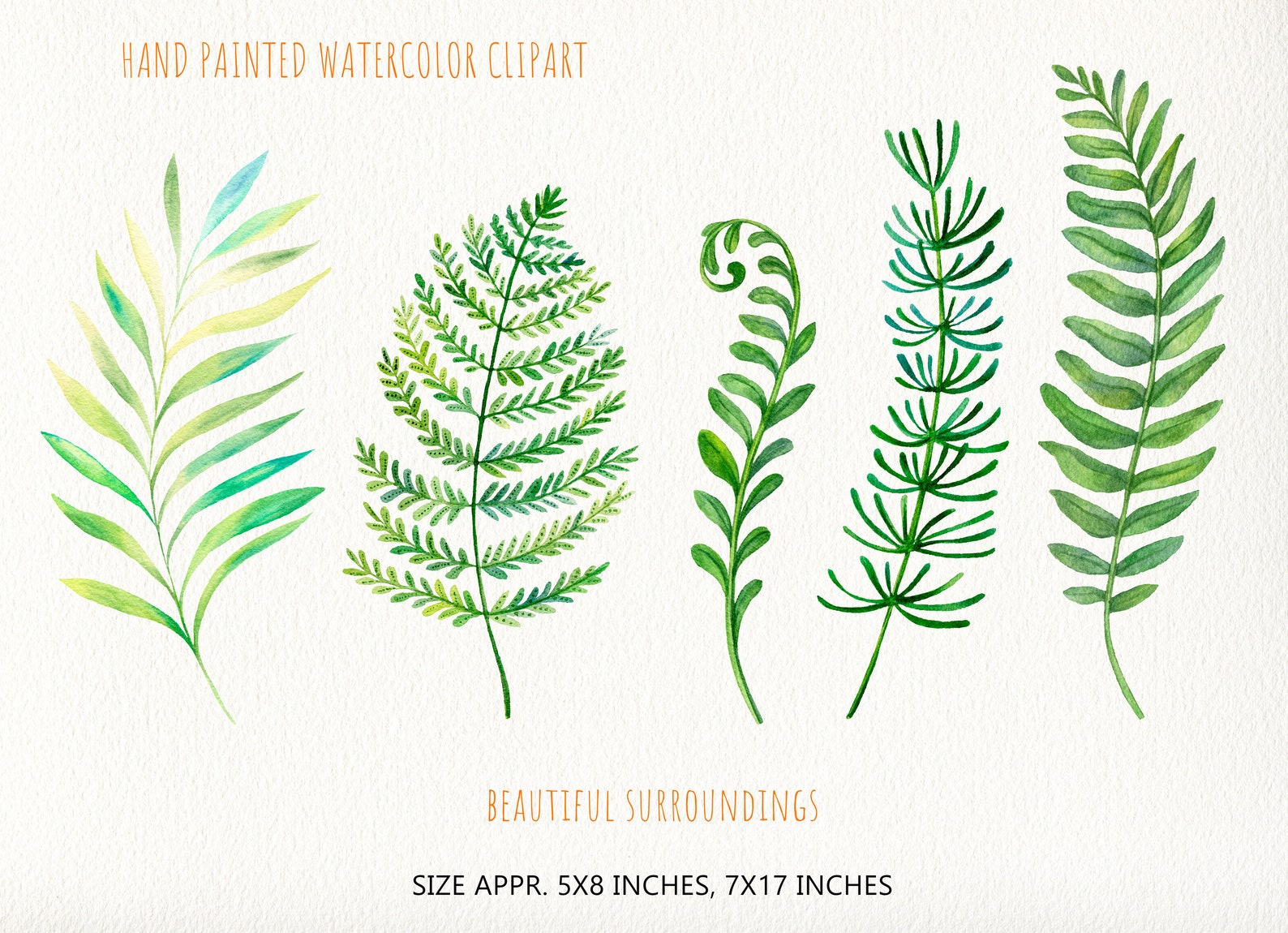 Watercolor Dinosaur Clipart Set. Hand Painted Children Clip - Etsy
