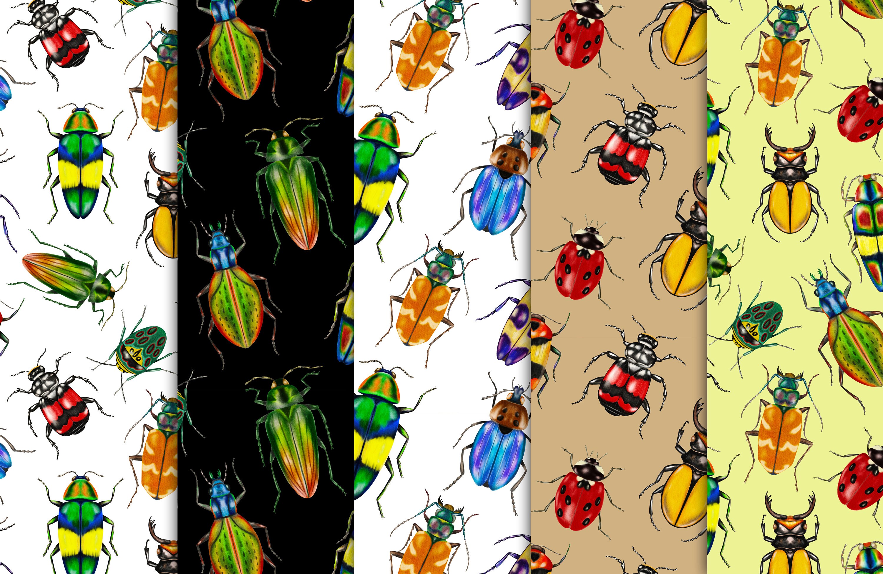 Watercolor Beetles Digital Paper Bug Pattern Insects Bug - Etsy