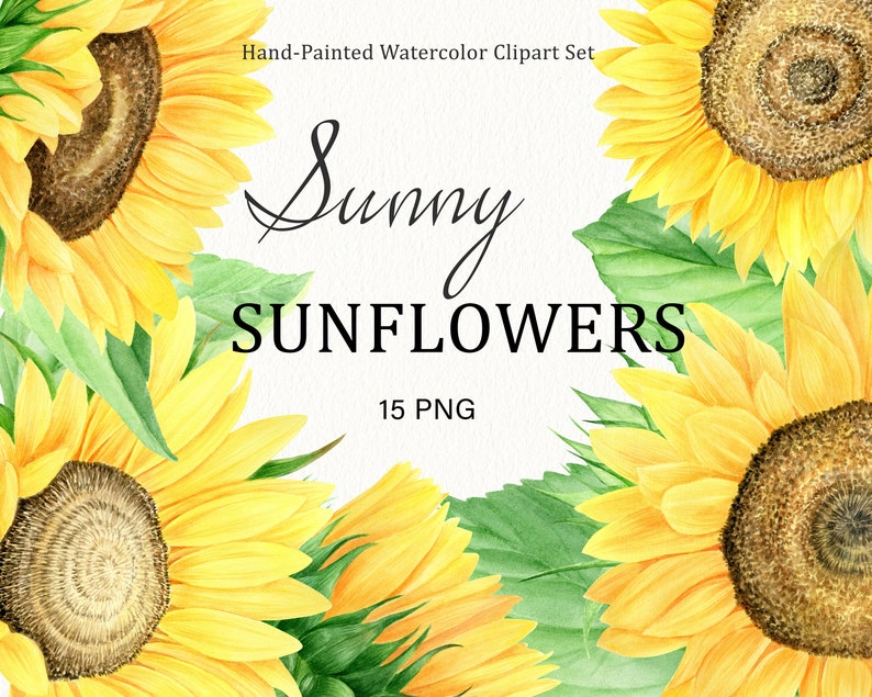 Watercolor Sunflowers Clipart Set. Summer Flowers PNG Clip - Etsy
