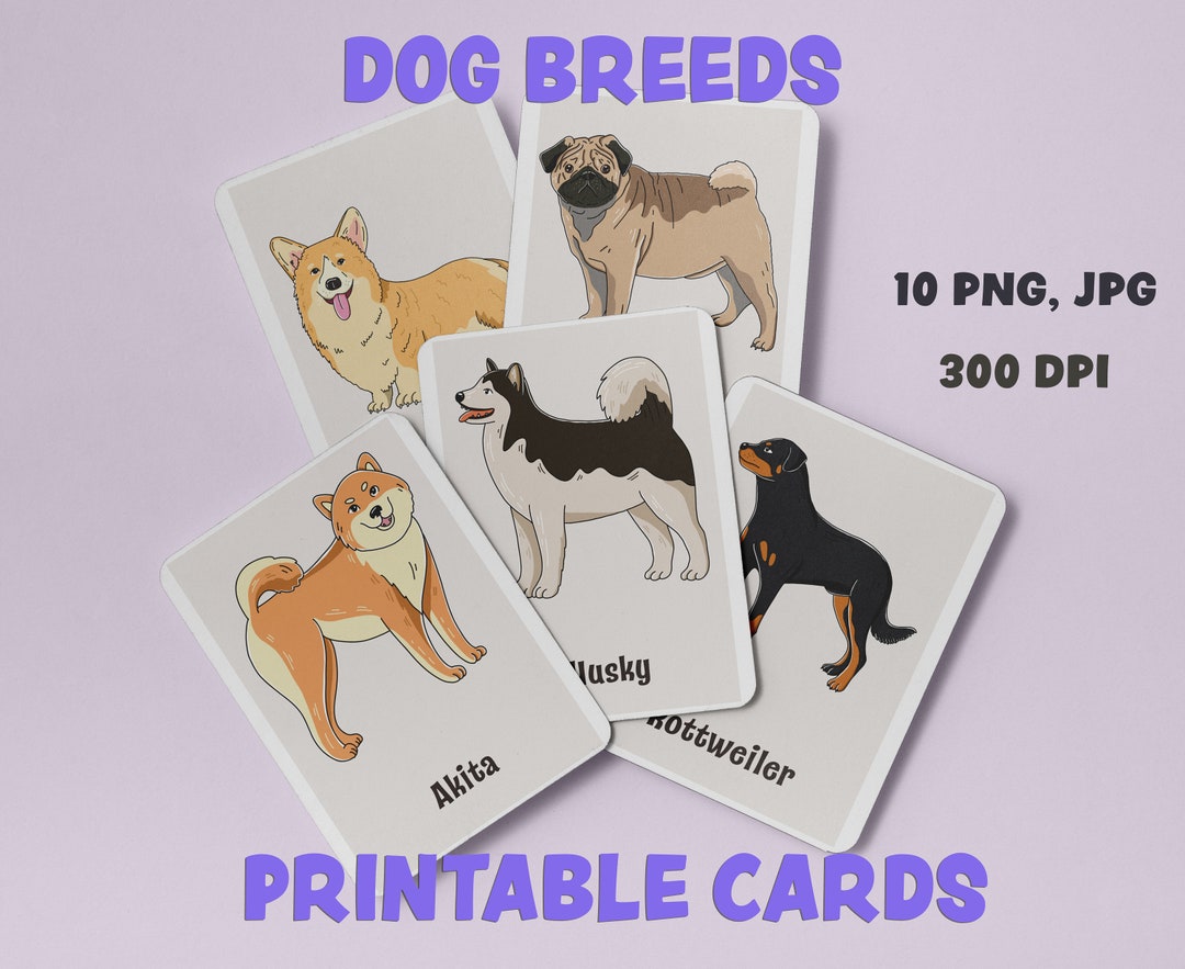 Dog Breeds Printable Cards. Cards for Education, School, Memory ...