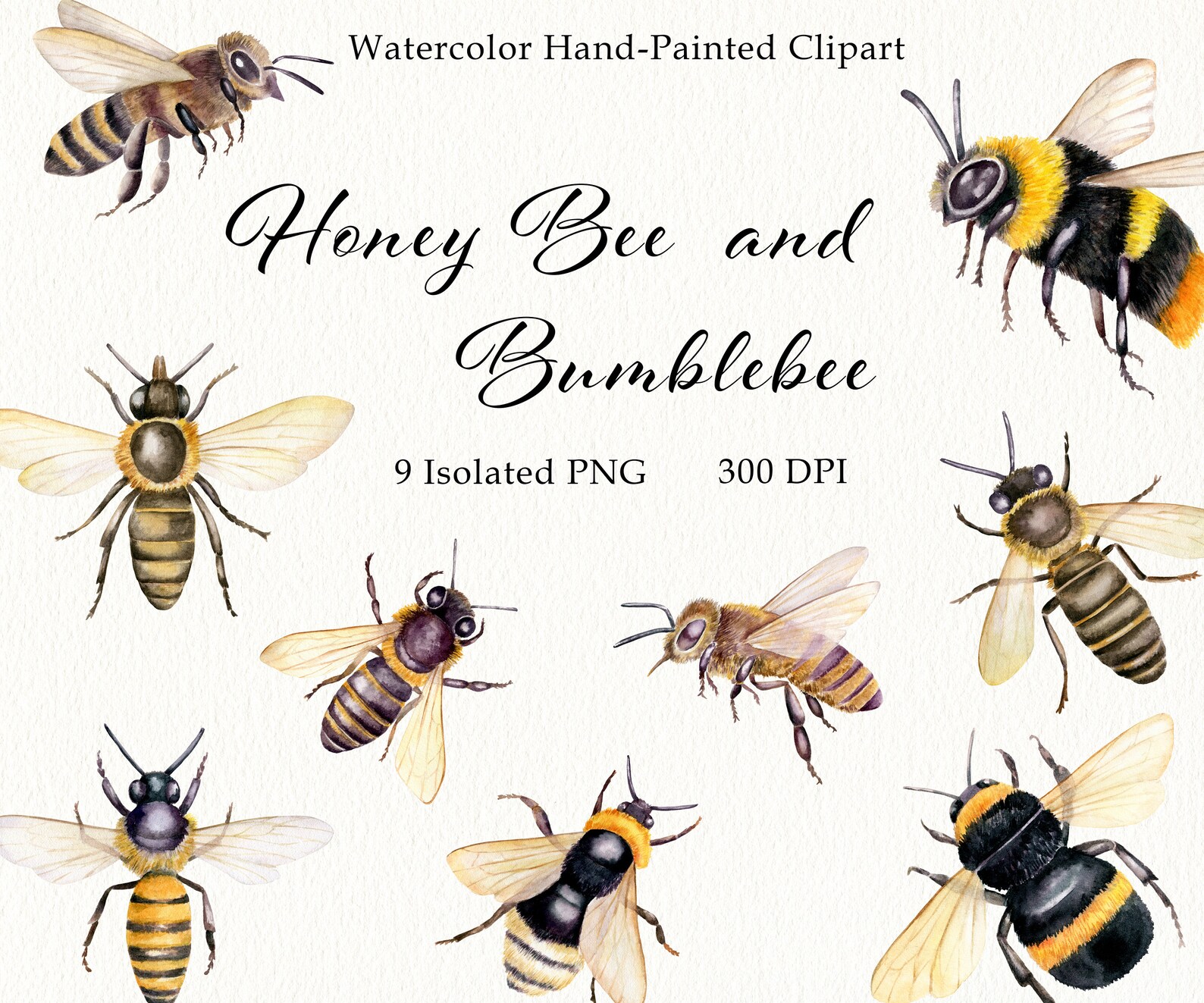 Watercolor Honey Bee Clipart Set. Hand Painted Vintage Insects | Etsy