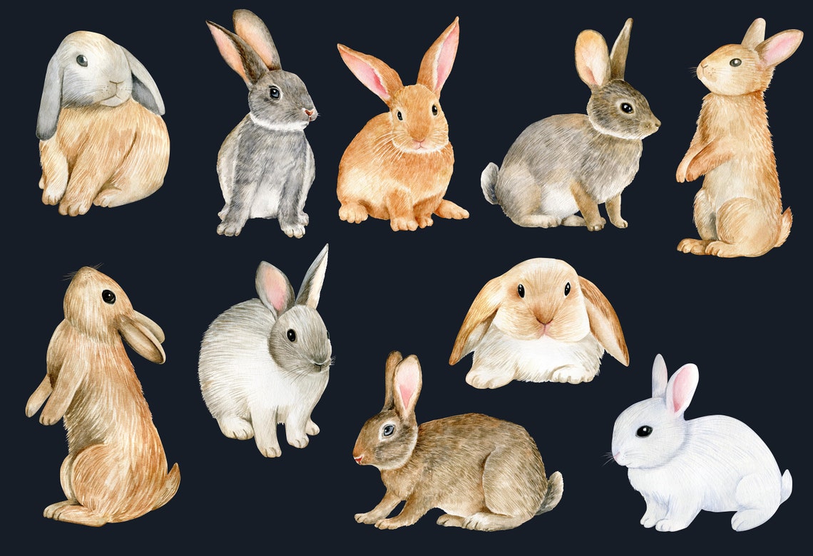 Watercolor Cute Rabbits Clipart Set. Hand Drawn Easter Spring - Etsy