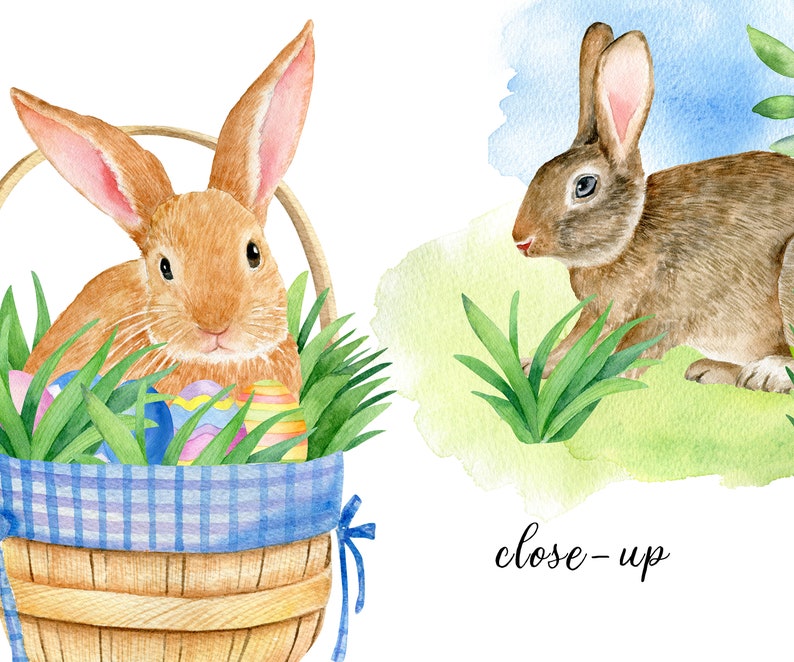 Watercolor Easter Rabbits Clipart Set. Hand Drawn Spring Clip Art With ...