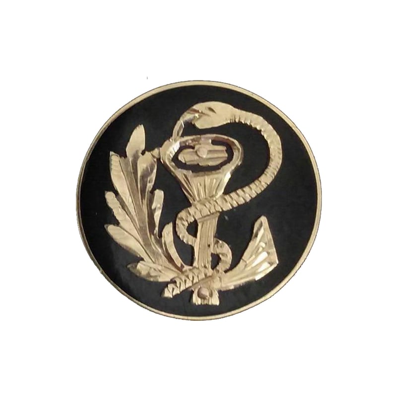 14 K Rose Gold Rod of Asclepius Lapel Pin Pharmacist Gold - Etsy