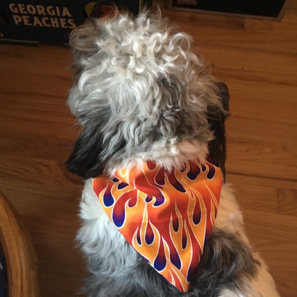 Scottish Photo Props - Etsy