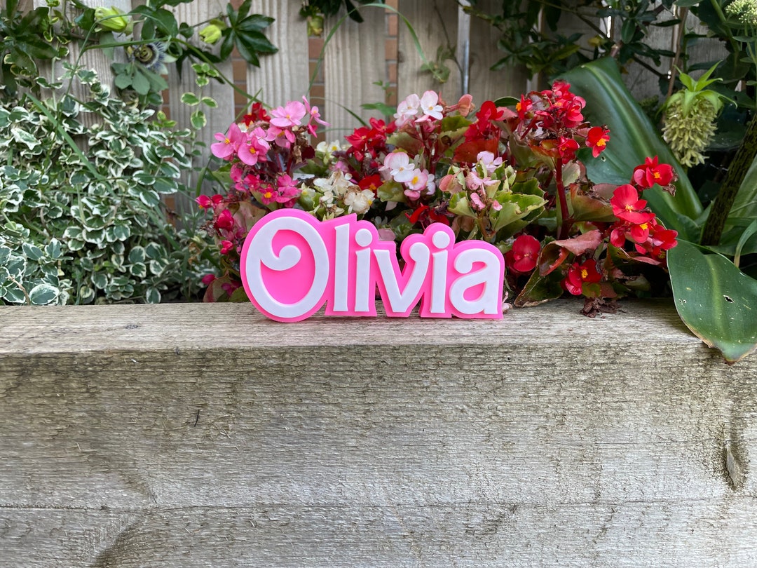 Pink Custom Name Plate – 3D Printed Desk Decor, Doll Fan Gift - Etsy