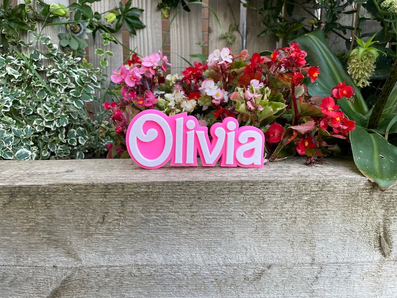 Pink Custom Name Plate – 3D Printed Desk Decor, Doll Fan Gift - Etsy