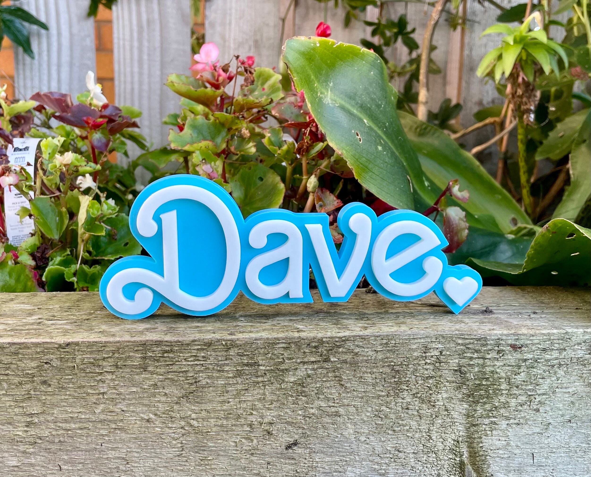 Blue Custom Name Plate: 3D Printed Desk Display - Etsy