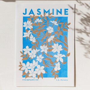 Jasmine Print - Jasmine Flower Illustration Print - Risograph Print ...