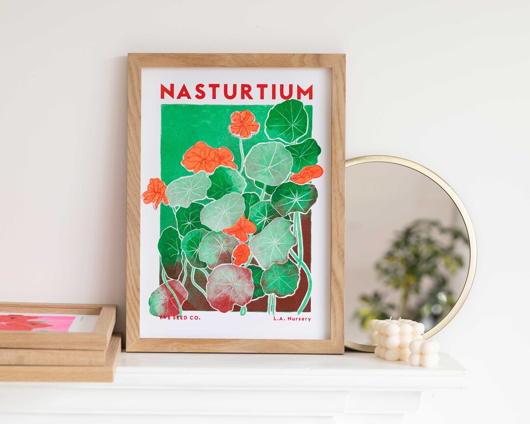 Nasturtium Flower Illustration Print - Risograph Print - Floral Print - Flower Wall Art - Flower ...