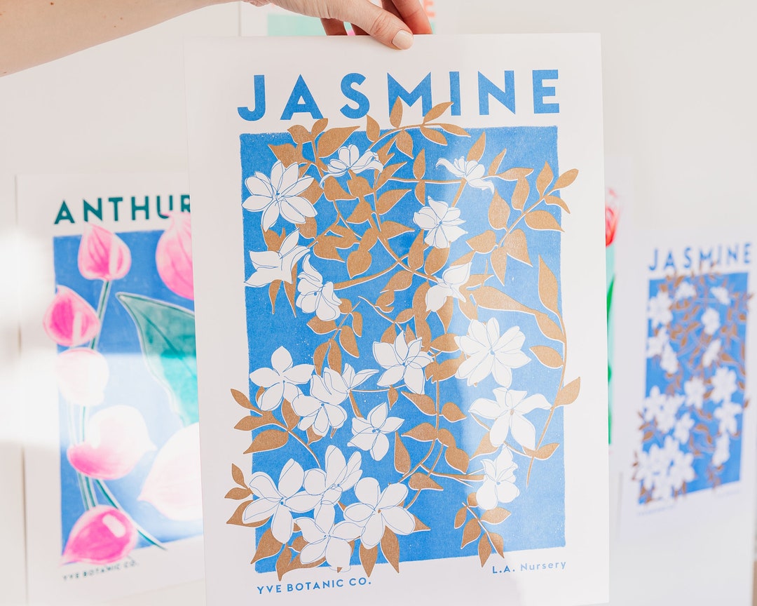 Jasmine Print - Jasmine Flower Illustration Print - Risograph Print ...