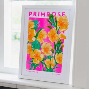 Primrose Print - Primrose Flower Illustration Print - Risograph Print ...
