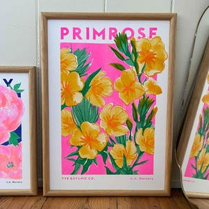 Primrose Print - Primrose Flower Illustration Print - Risograph Print ...