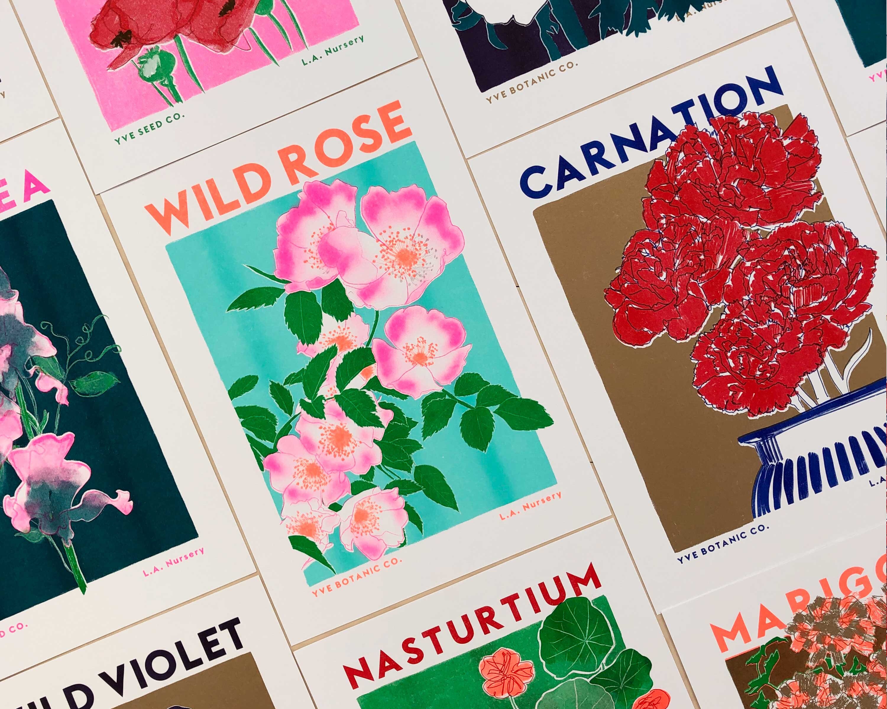 Nasturtium Flower Illustration Print Risograph Print - Etsy