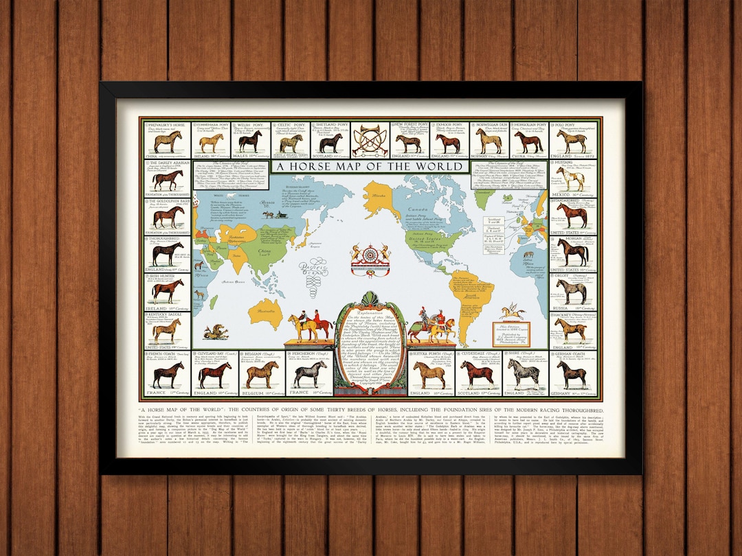 Horse Map of the World, Horse Breeds, Stables, Thoroughbred, Horse ...
