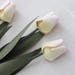 DIY Crepe Paper Tulip Kit – Make 3 Stunning Tulips With Flower Wrapping ...