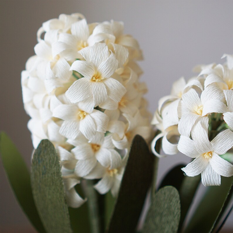 Crepe Paper Hyacinth Digital Template | DIY Paper Flower Pattern ...