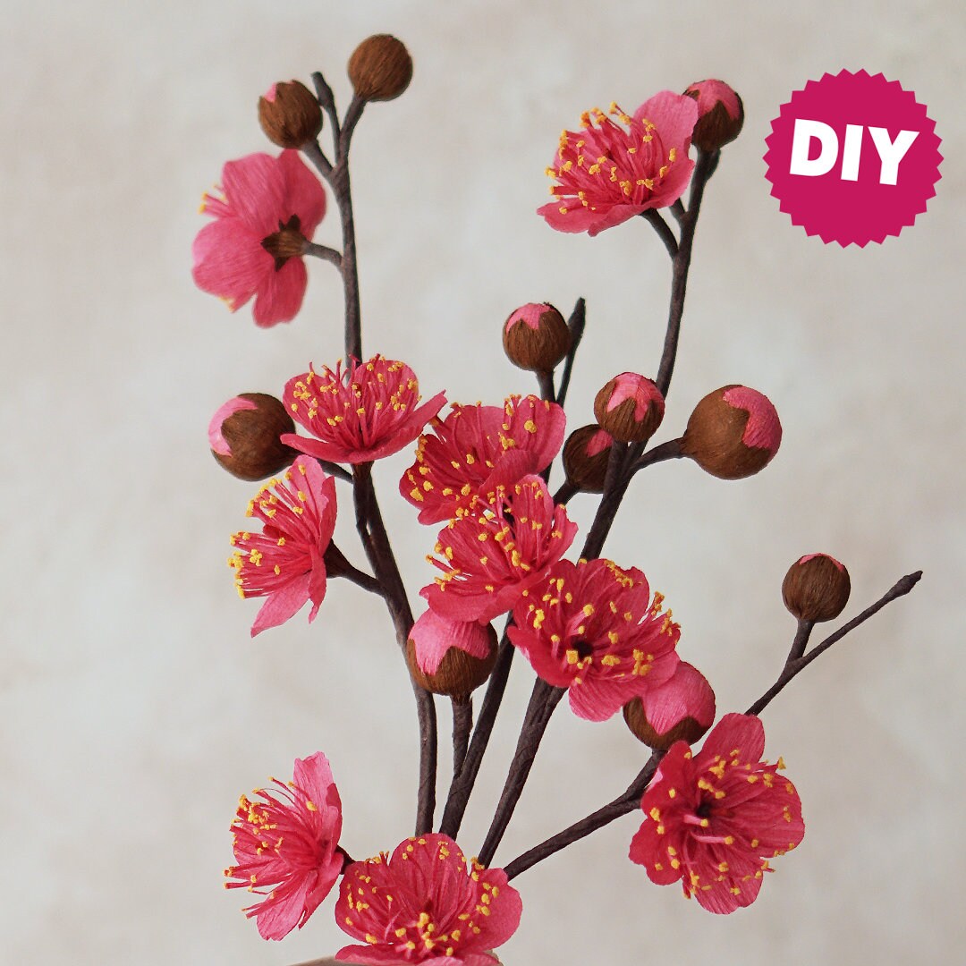 DIY Paper Flower Kit – Crepe Paper Plum Blossom Craft – Handmade Floral ...
