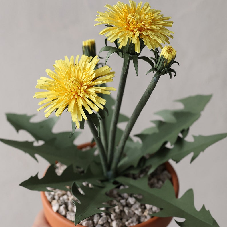 DIY Dandelion Paper Flower Kit – Make 2 Flowers & 2 Buds | Gift Package ...