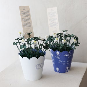 EVACRAFTS/DIY Kit Handcrafted Paper Clover Kit With Tutorial - Etsy