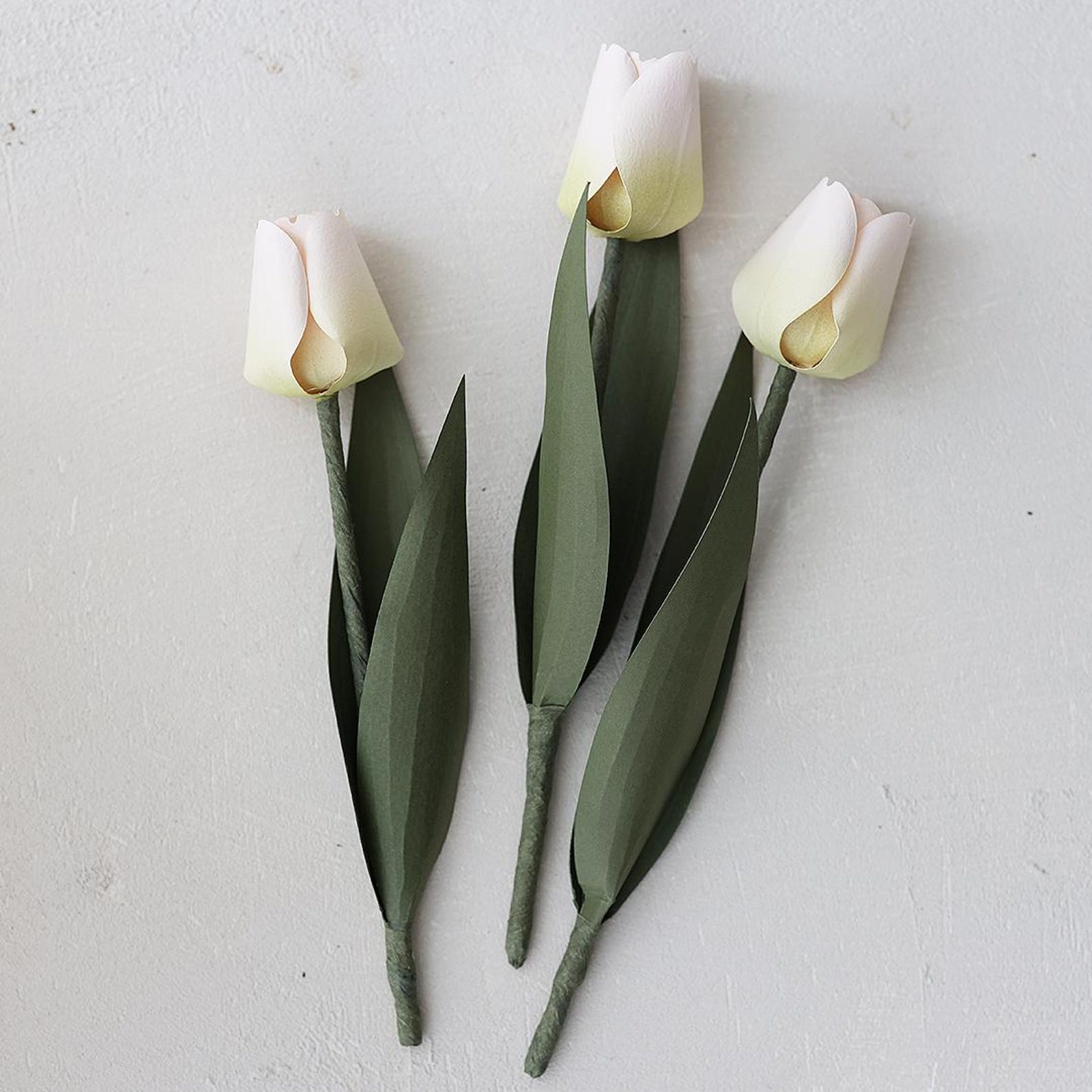 DIY Crepe Paper Tulip Kit – Make 3 Stunning Tulips With Flower Wrapping ...