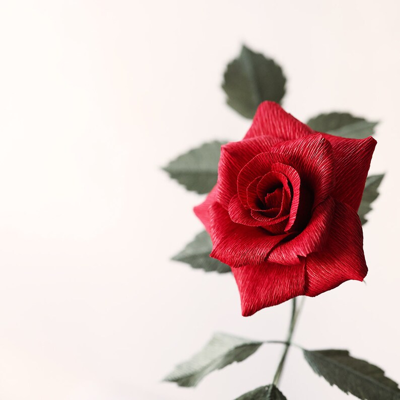 DIY Crepe Paper Rose Craft Kit – Handmade Paper Flower Art – Realistic ...