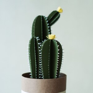 DIY Paper Cactus Craft Kit - Easy Handmade Home Decor - Be Happy Cactus ...