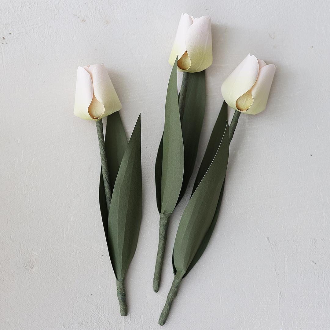 DIY Paper Tulip Template | Realistic Paper Flowers | SVG, Silhouette ...