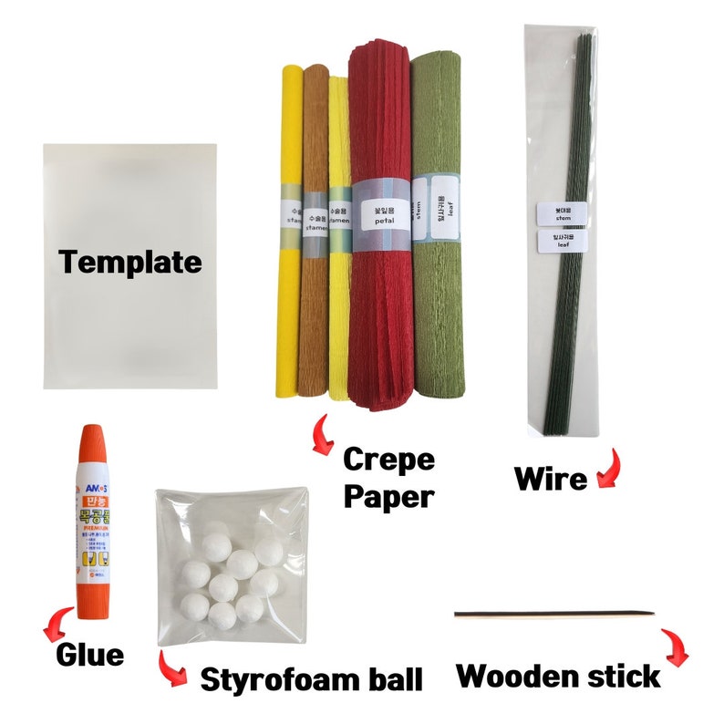 EVACRAFTS DIY Crepe Paper Rose Vine DIY Kit for Realistic 3D Paper ...