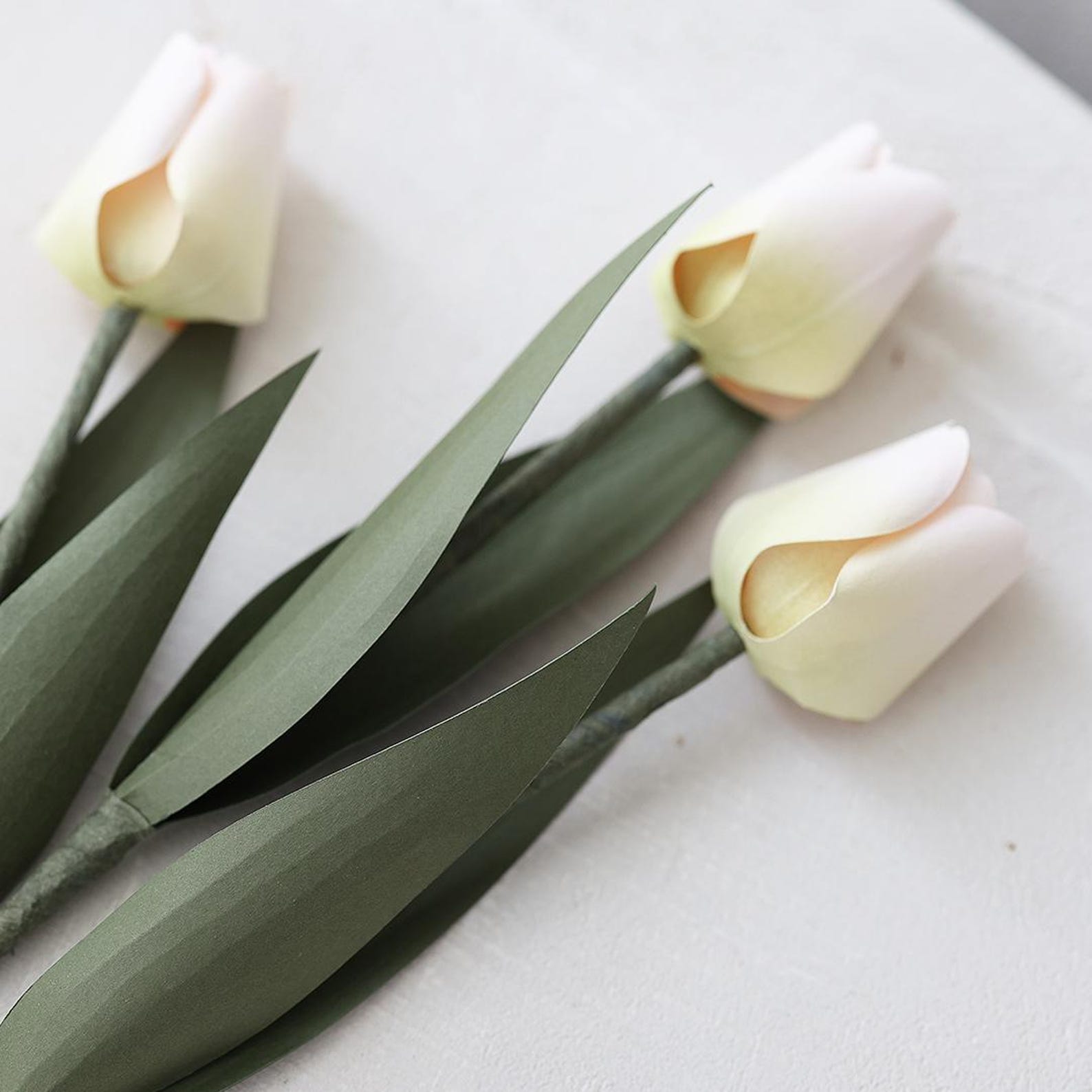 DIY Crepe Paper Tulip Kit Make 3 Stunning Tulips With Flower Wrapping ...