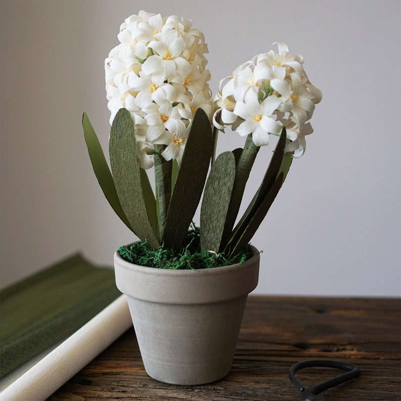 Crepe Paper Hyacinth Digital Template | DIY Paper Flower Pattern ...