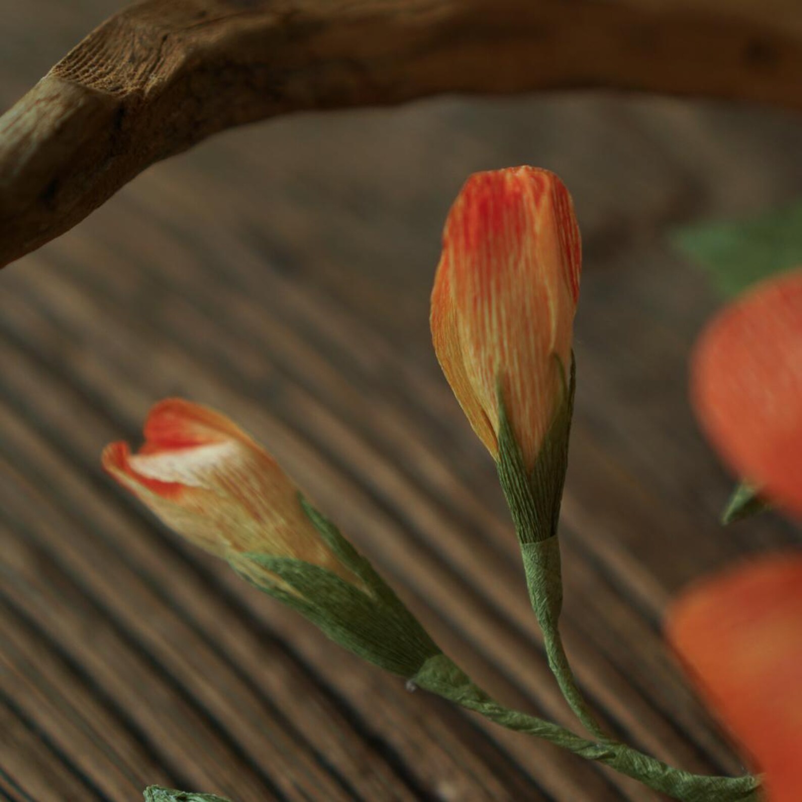 DIY Crepe Paper Trumpet Creeper Kit Handmade Paper Flower Vine Craft ...