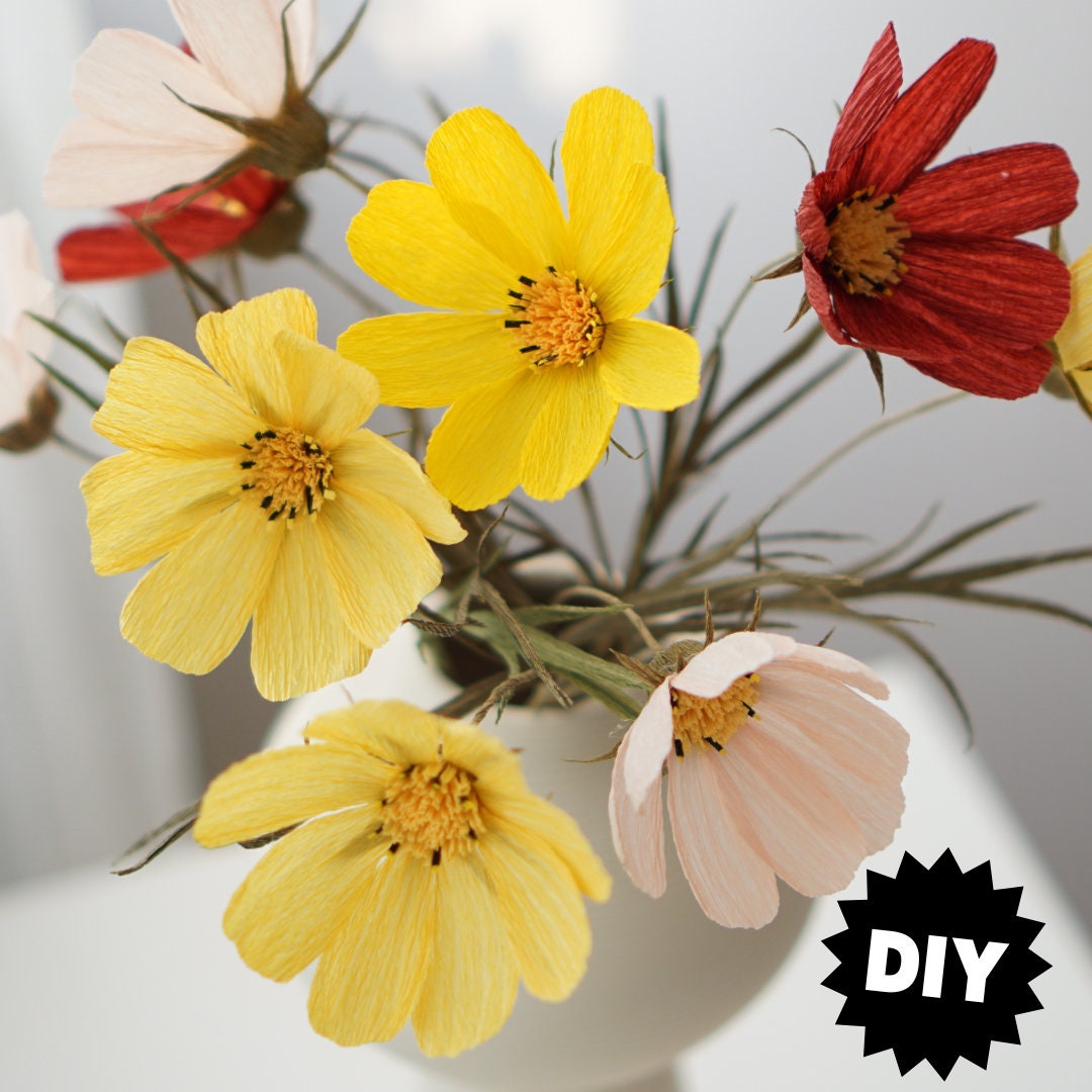Paper Flower DIY Kit, Cosmos, 3 Bunches, Includes Video Instructions - Etsy