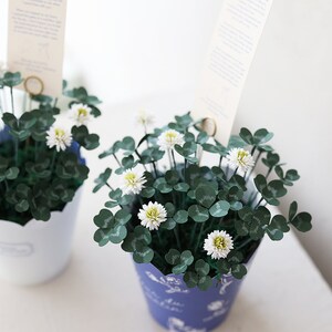 EVACRAFTS/DIY Kit Handcrafted Paper Clover Kit With Tutorial - Etsy