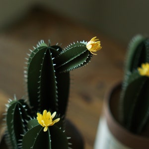 DIY Paper Cactus Craft Kit - Easy Handmade Home Decor - Be Happy Cactus ...