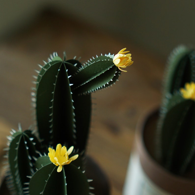 DIY Paper Cactus Craft Kit - Easy Handmade Home Decor - Be Happy Cactus ...