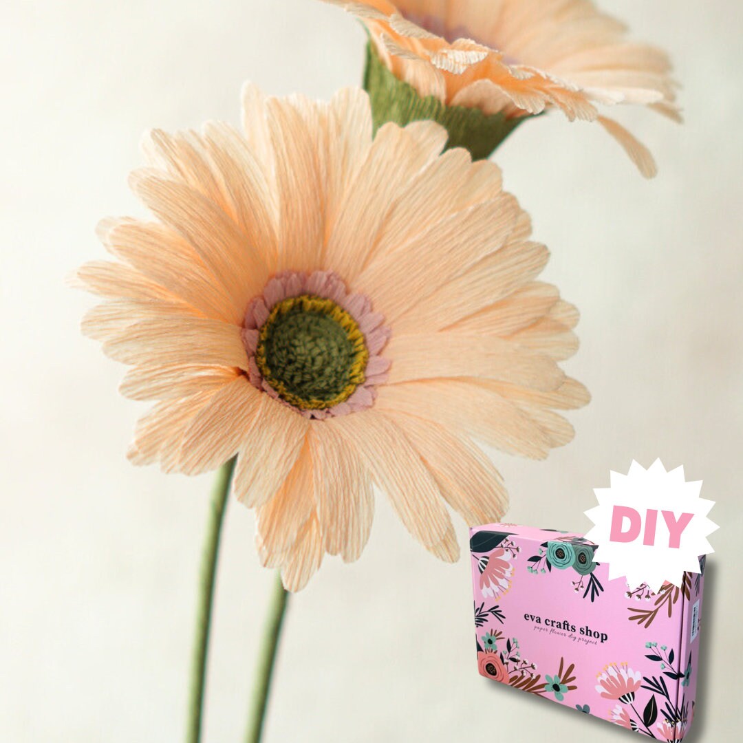 Paper Flower DIY Kit, Crepe Paper Gerbera Flower Making Set - Etsy