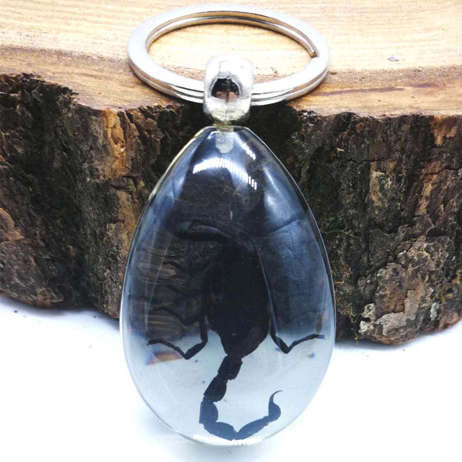 Luminous Scorpion Keychain and Transparent Resin Scorpion - Etsy