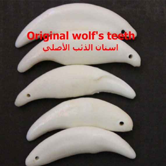 Original Wolf's Teeth Accessories Pendant - Etsy
