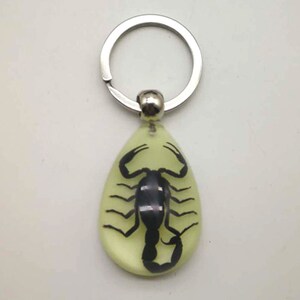 Luminous Scorpion Keychain and Transparent Resin Scorpion Keychain - Etsy
