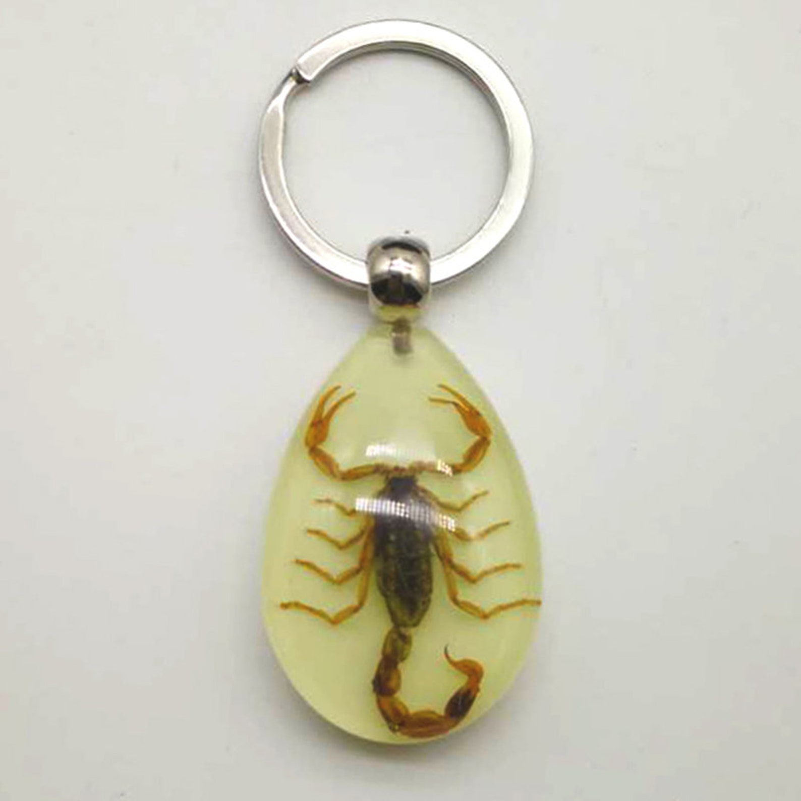 Luminous Scorpion Keychain and Transparent Resin Scorpion - Etsy