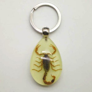 Luminous Scorpion Keychain and Transparent Resin Scorpion Keychain - Etsy