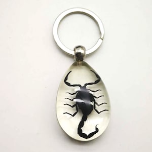 Luminous Scorpion Keychain and Transparent Resin Scorpion Keychain - Etsy