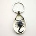 Luminous Scorpion Keychain and Transparent Resin Scorpion Keychain - Etsy