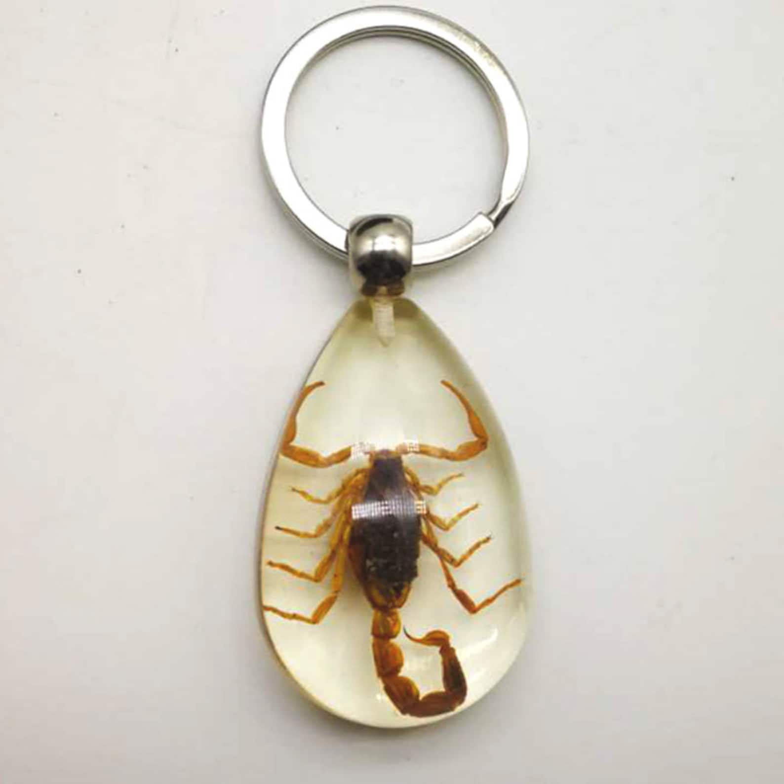 Luminous Scorpion Keychain and Transparent Resin Scorpion - Etsy