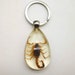 Luminous Scorpion Keychain and Transparent Resin Scorpion Keychain - Etsy
