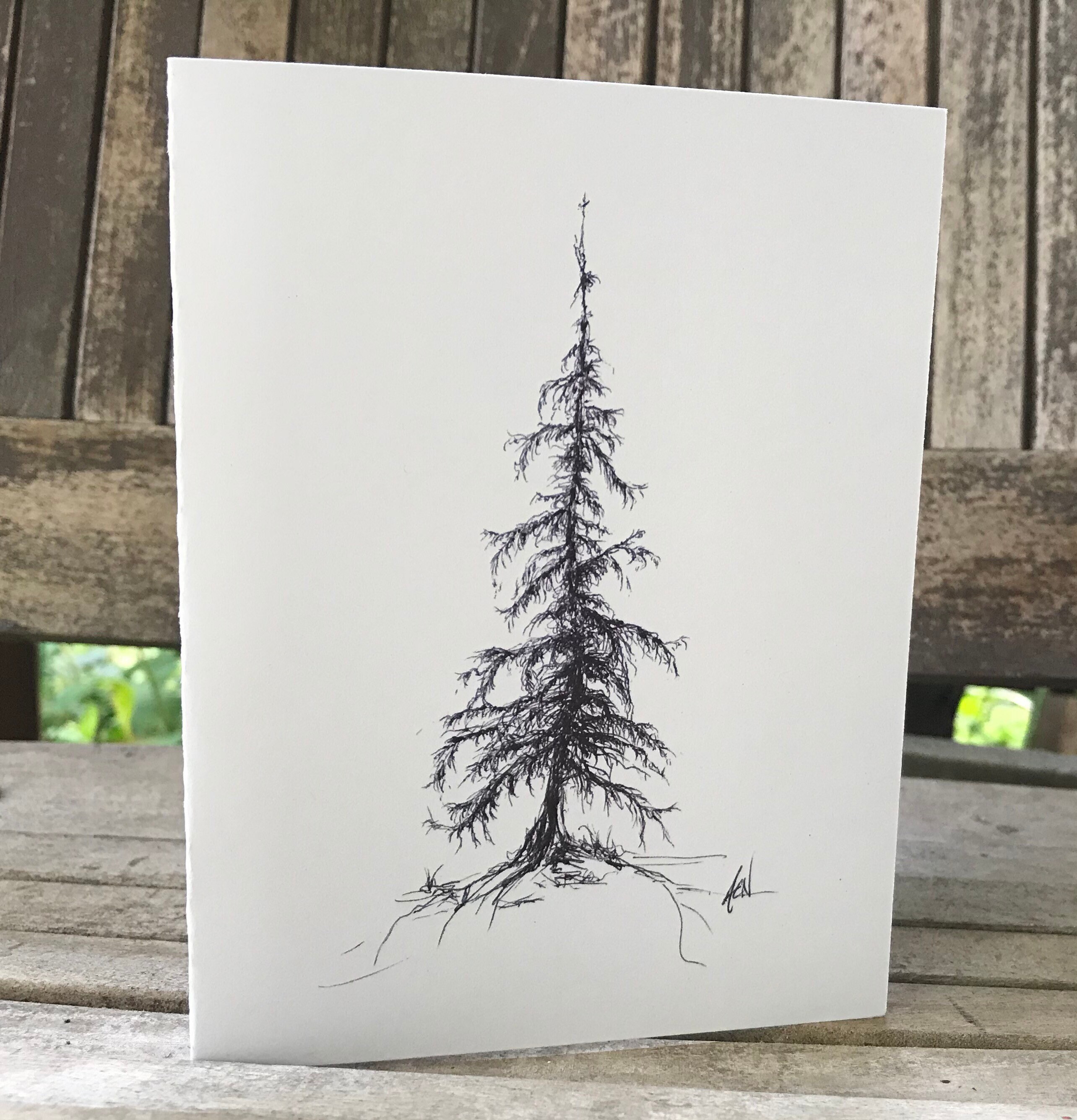 Pine Trees Drawing Tumblr